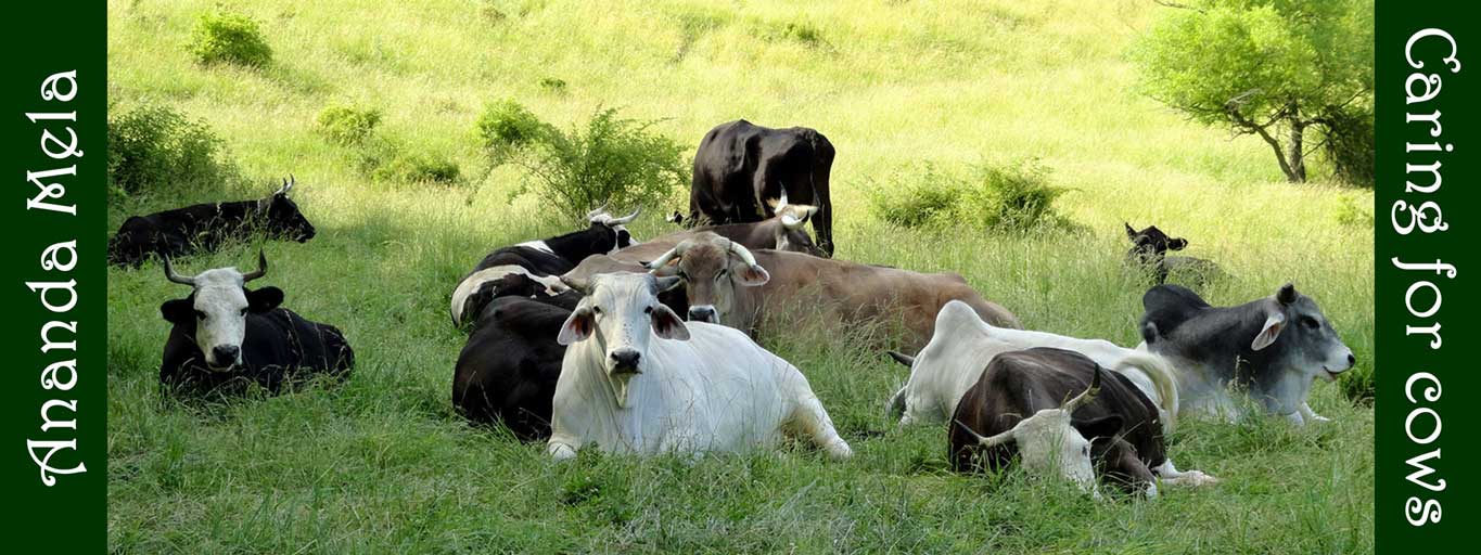 Anandamela – Joyful Festival of India – 2019 – Ananda Mela is the ...